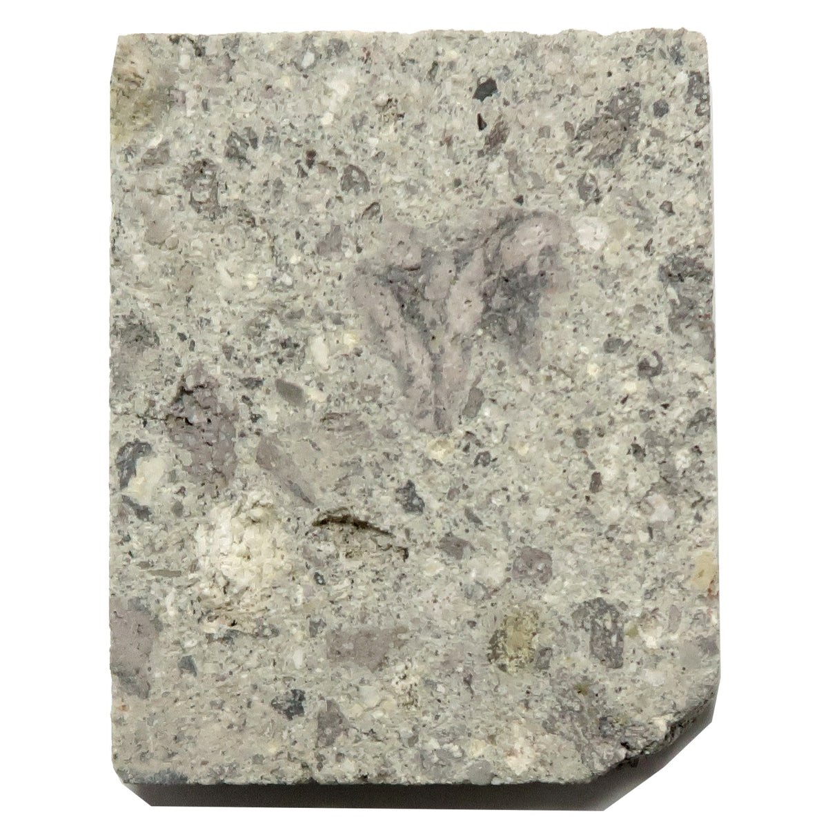 Nordlinger Ries Crater Impactite Window Germany — Satin Crystals