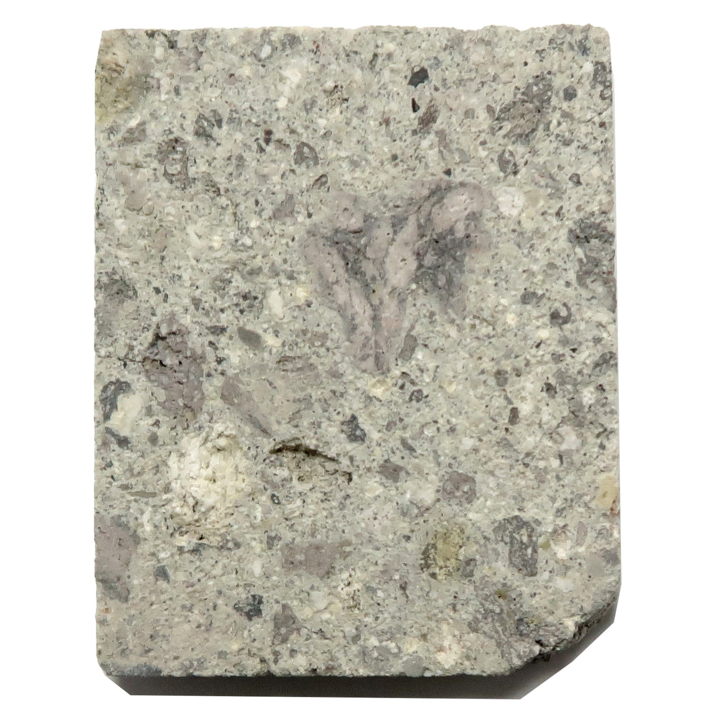 Nordlinger Ries Crater Impactite Window Germany — Satin Crystals