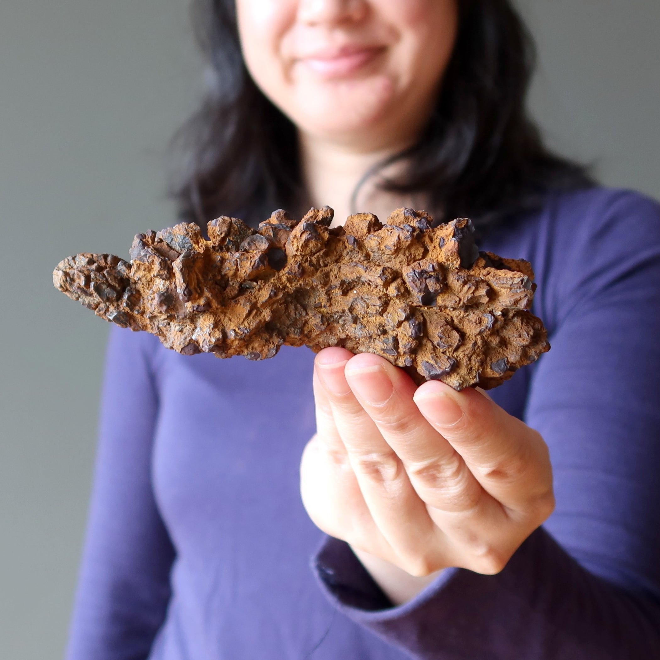 Coprolite Fossil Raw Crystal Ancient Dinosaur Poop Feces Stone — Satin ...