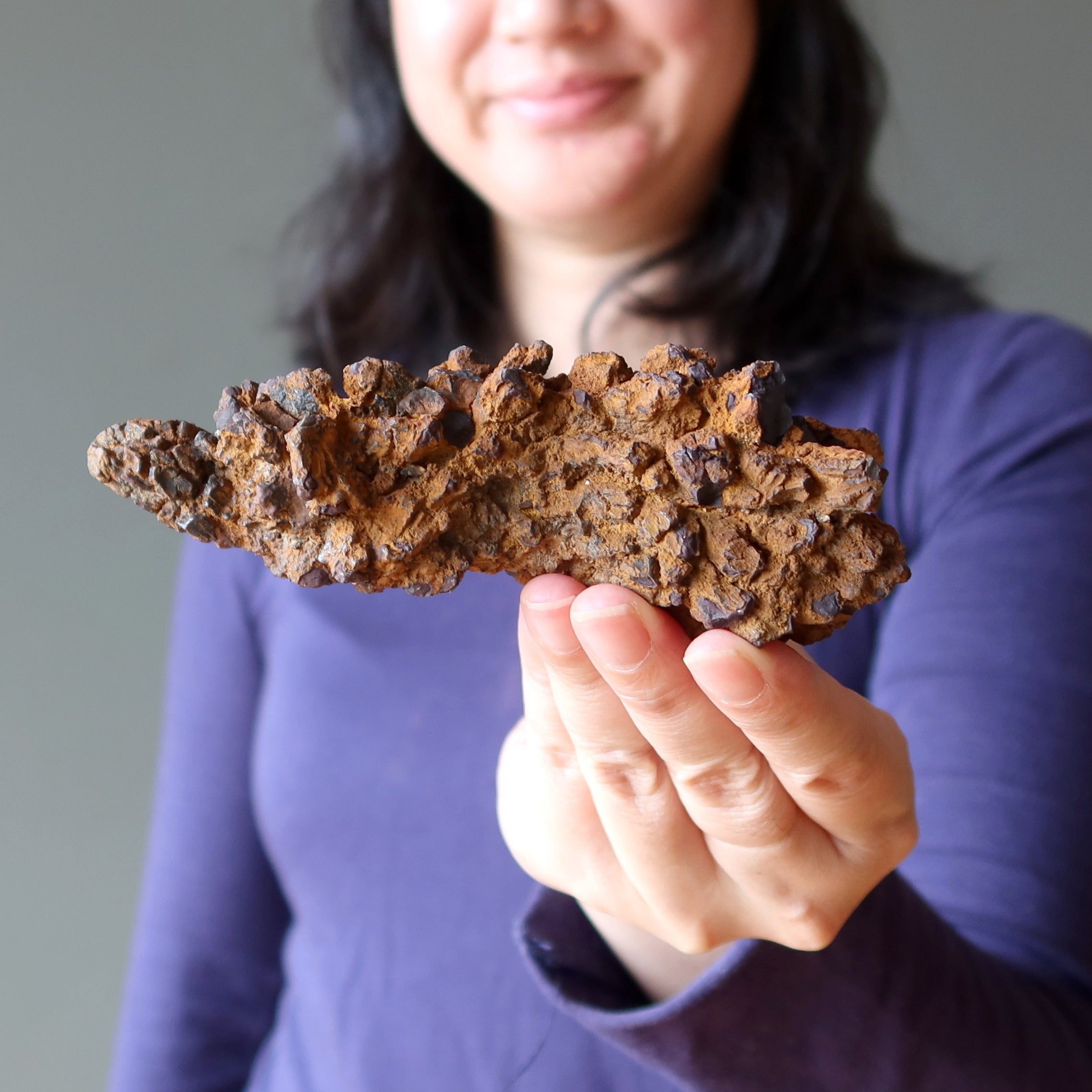 Coprolite Fossil Raw Crystal Ancient Dinosaur Poop Feces Stone — Satin ...