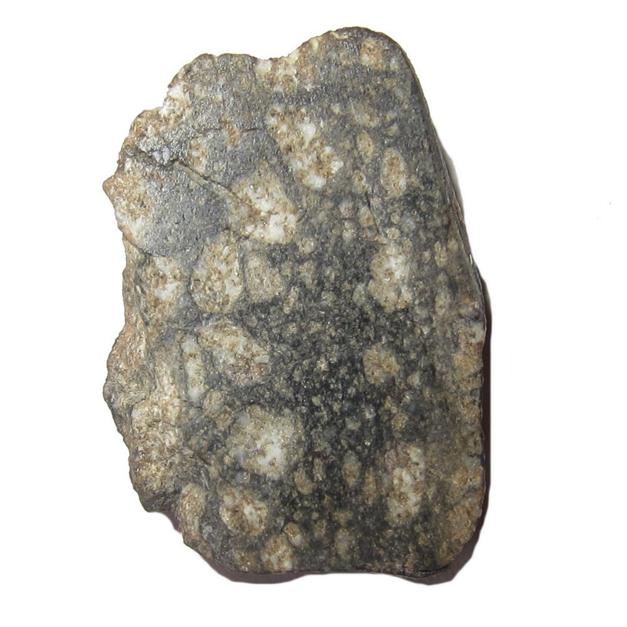 Meteorite Eucrite Collectible Space Stone of Goddess Vesta Asteroid ...