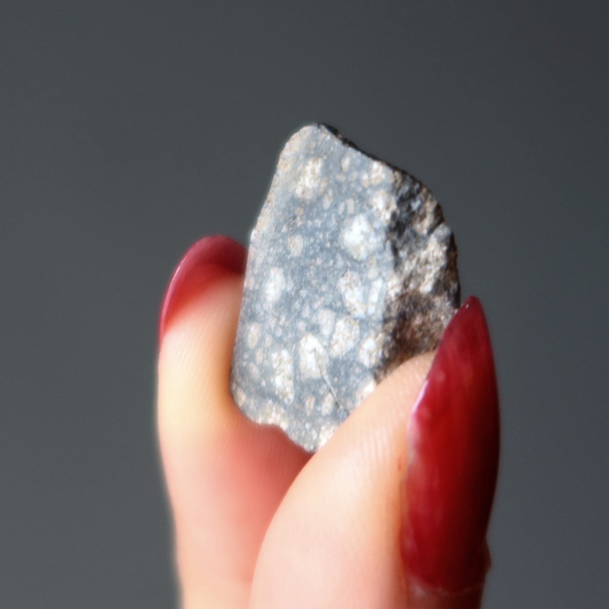 Meteorite Eucrite Collectible Space Stone of Goddess Vesta Asteroid ...