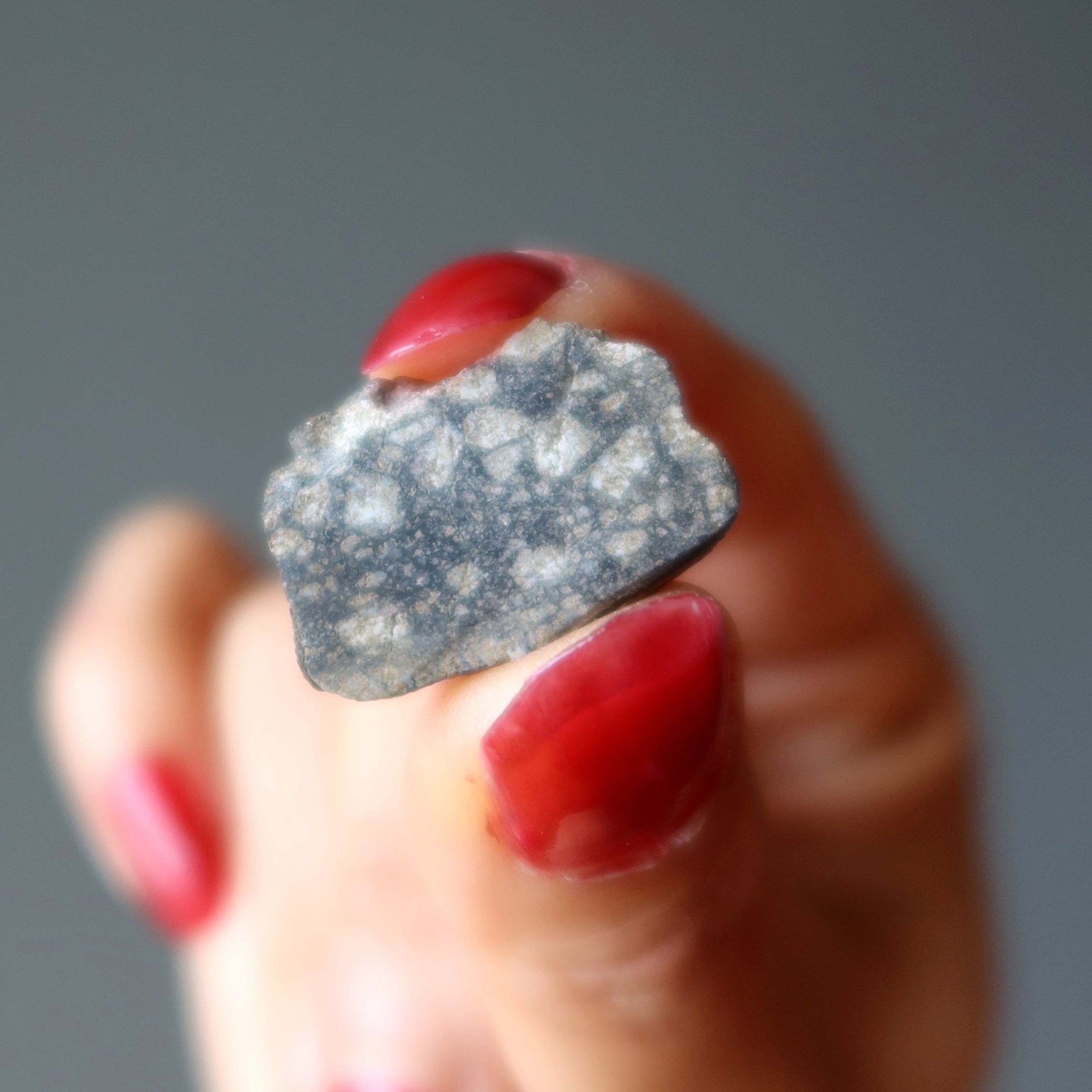 Meteorite Eucrite Collectible Space Stone of Goddess Vesta Asteroid ...