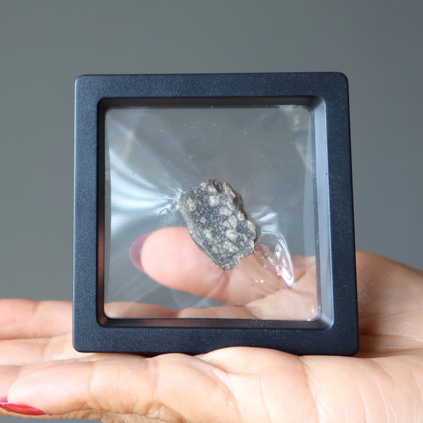 Meteorite Eucrite Collectible Space Stone of Goddess Vesta Asteroid ...