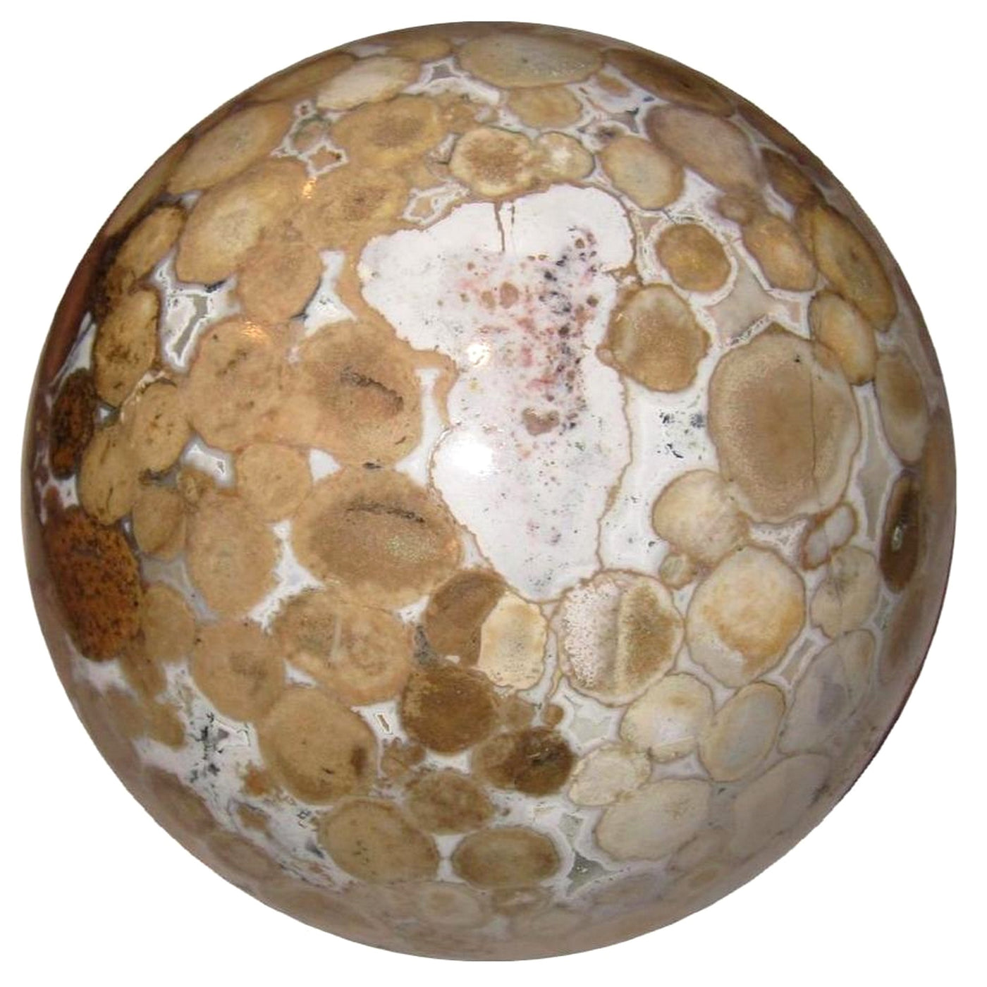 Snake Jasper Sphere Immortal Soul Rebirth White Crystal Ball — Satin ...