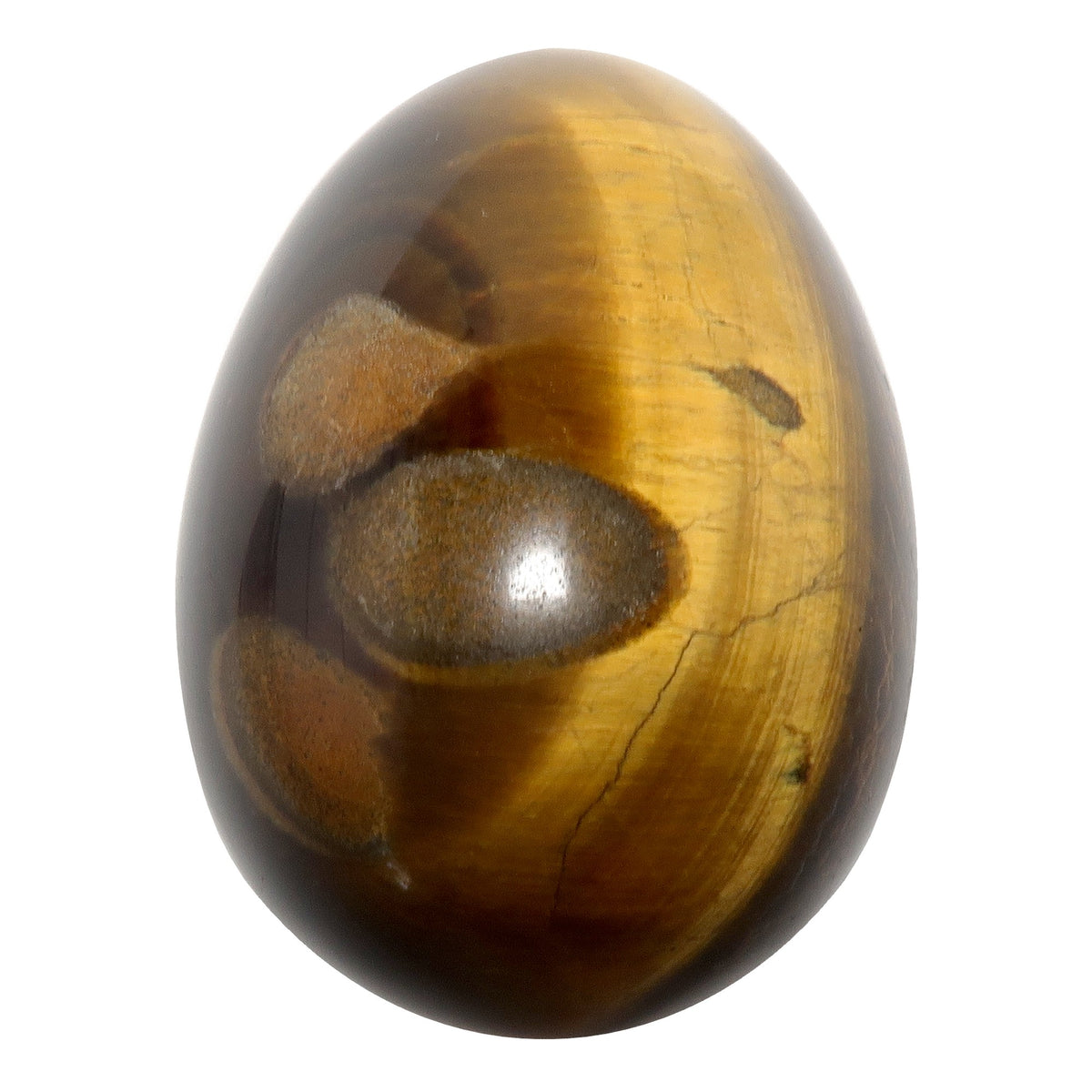 Tigers Eye Egg Nature's Muddy Miracle Stone — Satin Crystals